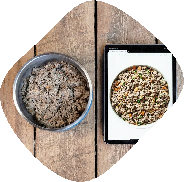 Fresh Food Getting Old? – Elevate Pet Provisions